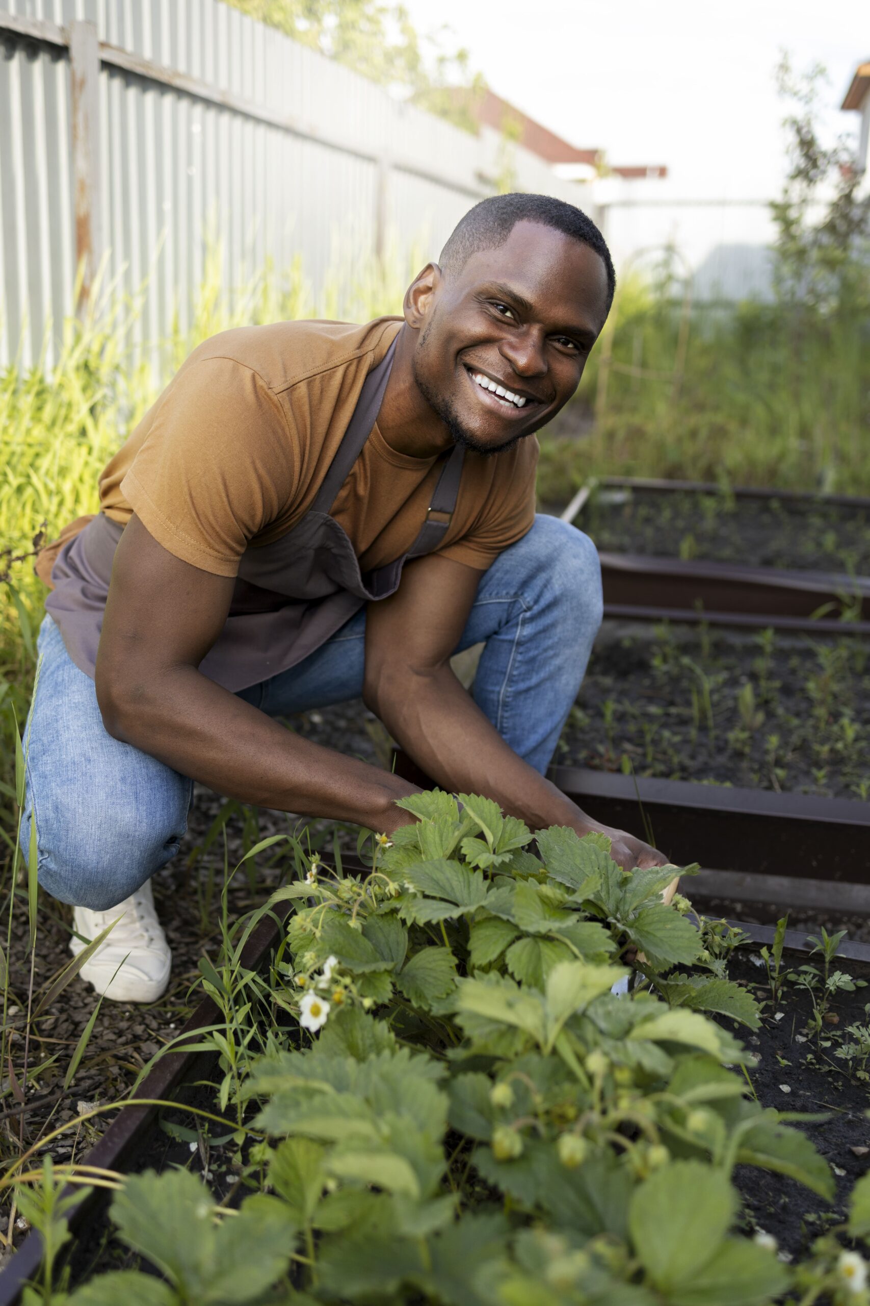Plant Production - EduPower