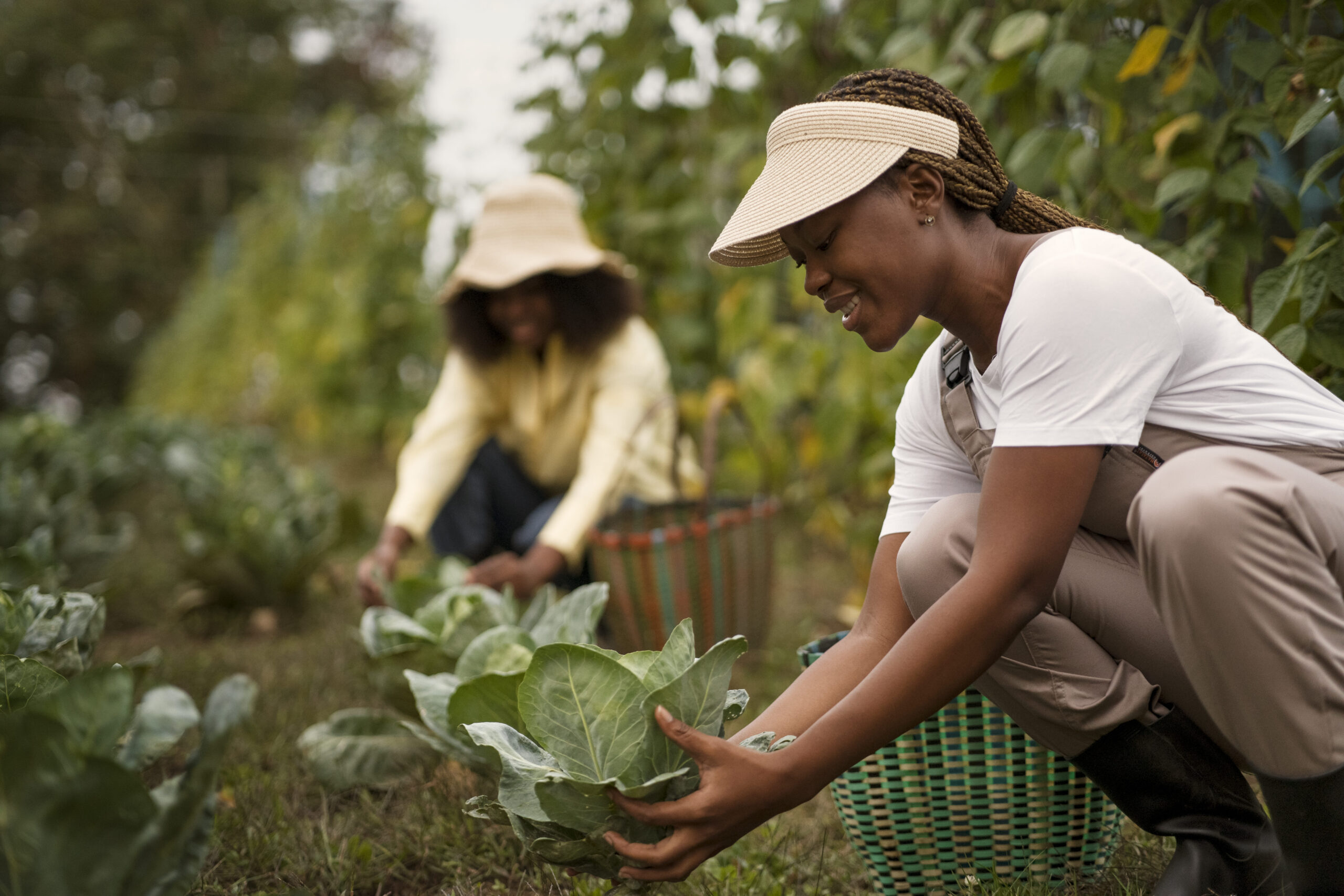 Mixed Farming Systems - EduPower